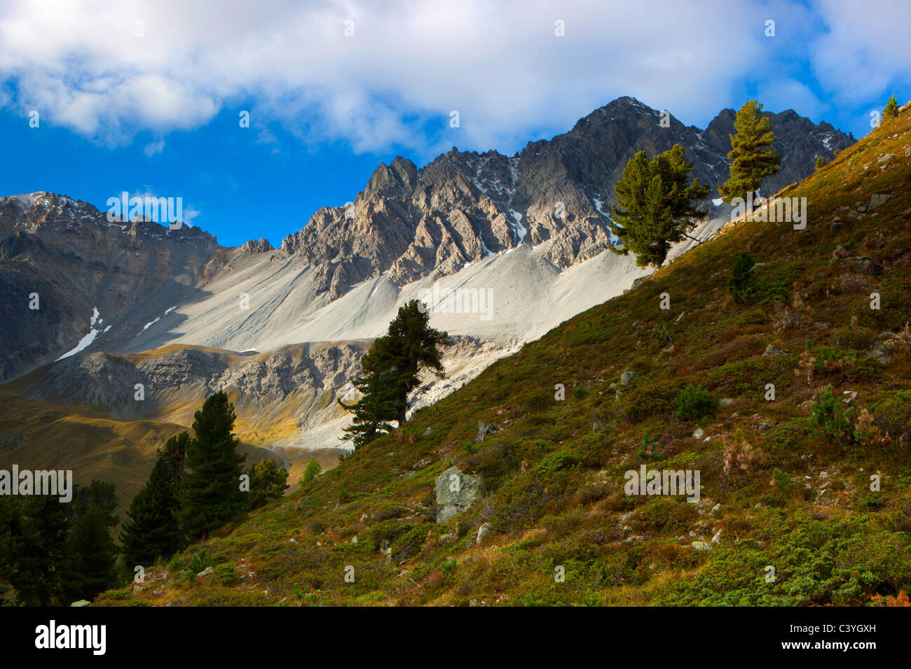 Alp Tavru, Switzerland, canton Graubunden, Grisons, Val S-charl, Alp ...