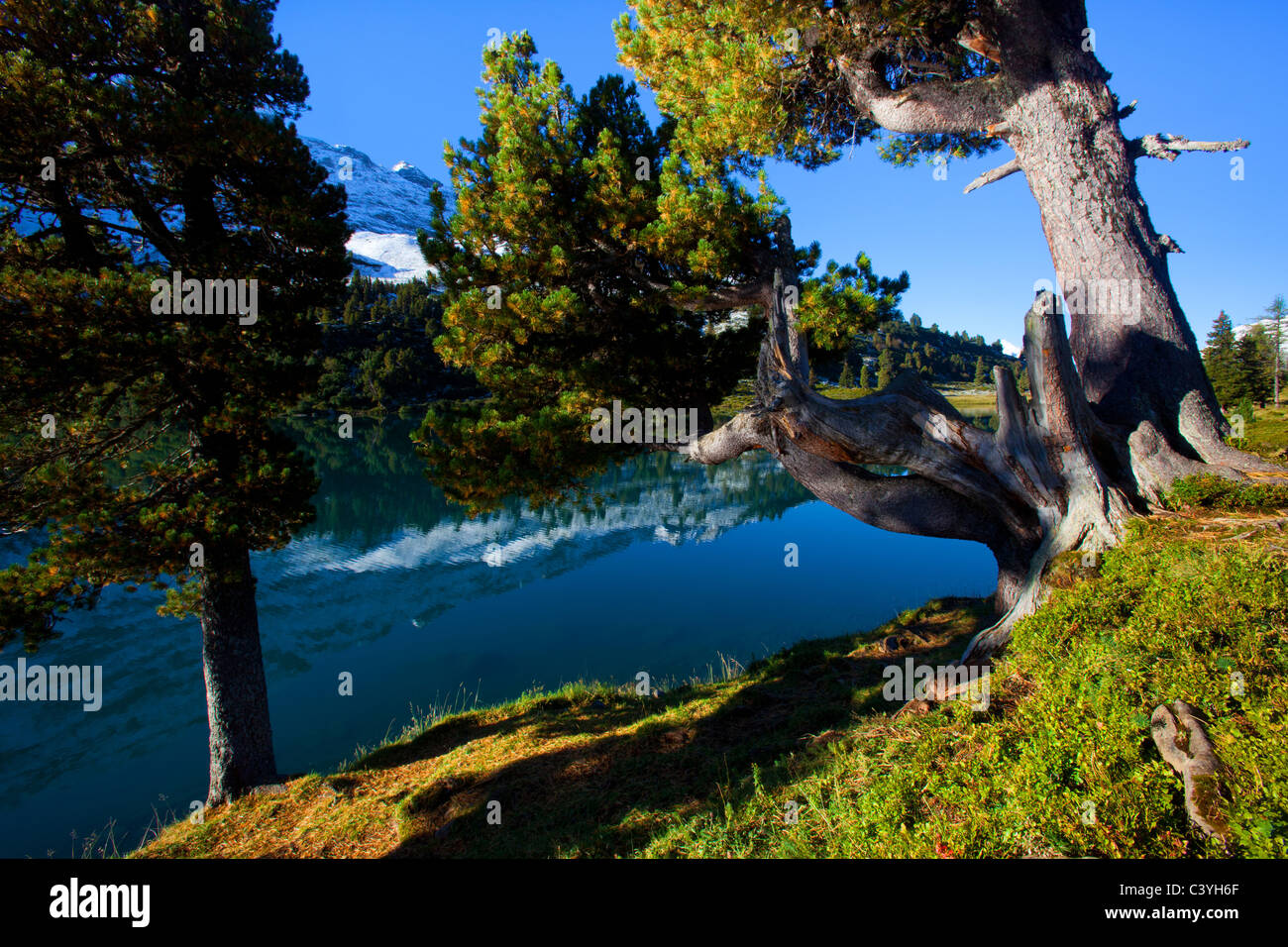 Engstlensee lake hi-res stock photography and images - Alamy
