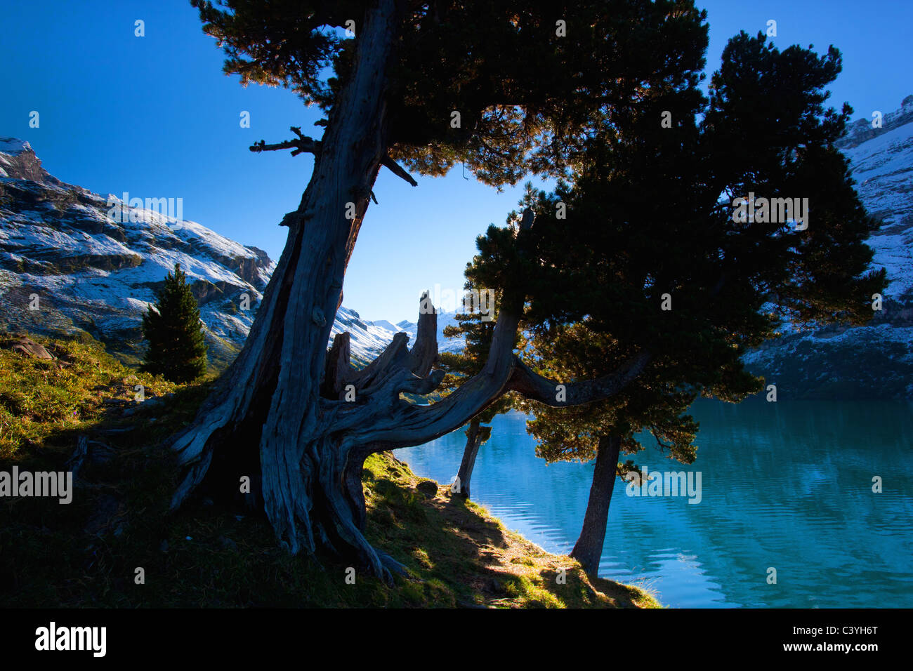 Engstlensee lake hi-res stock photography and images - Alamy