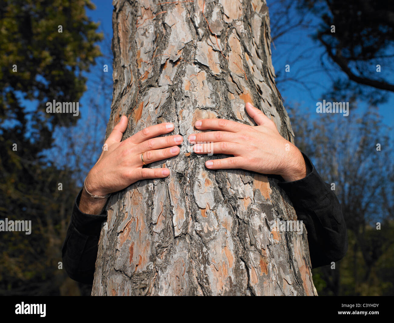 Man hugging a tree Stock Photo - Alamy
