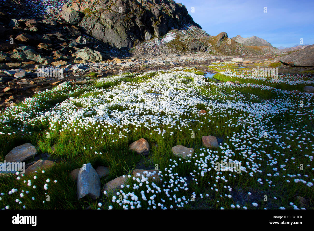 Goat path hi-res stock photography and images - Alamy