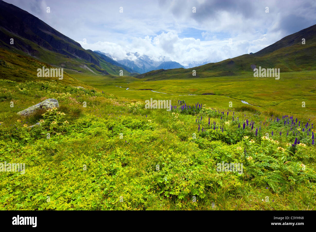 Greina, Switzerland, canton Graubunden, Grisons, Surselva, national ...