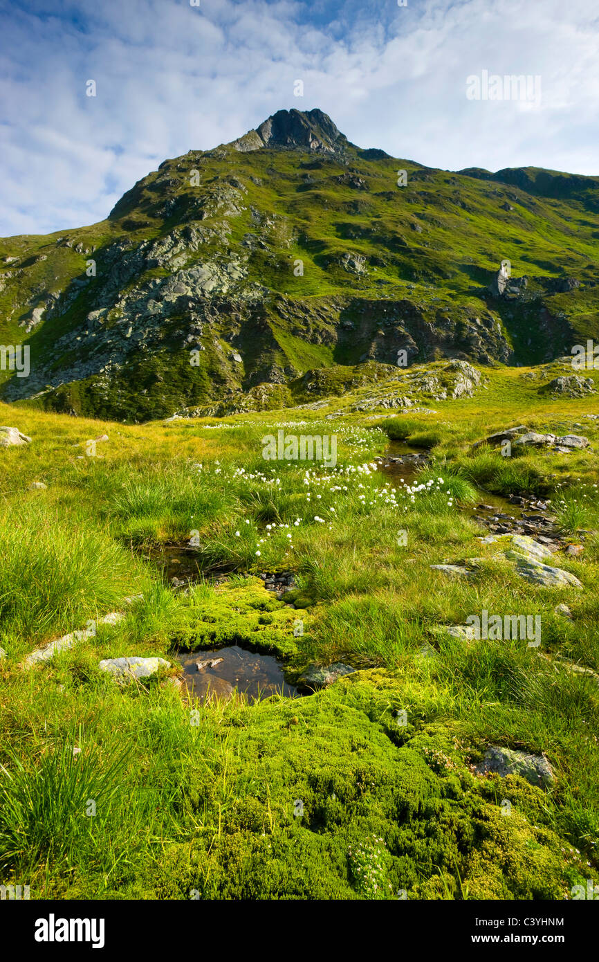 Greina, Switzerland, canton Graubunden, Grisons, Surselva, national ...