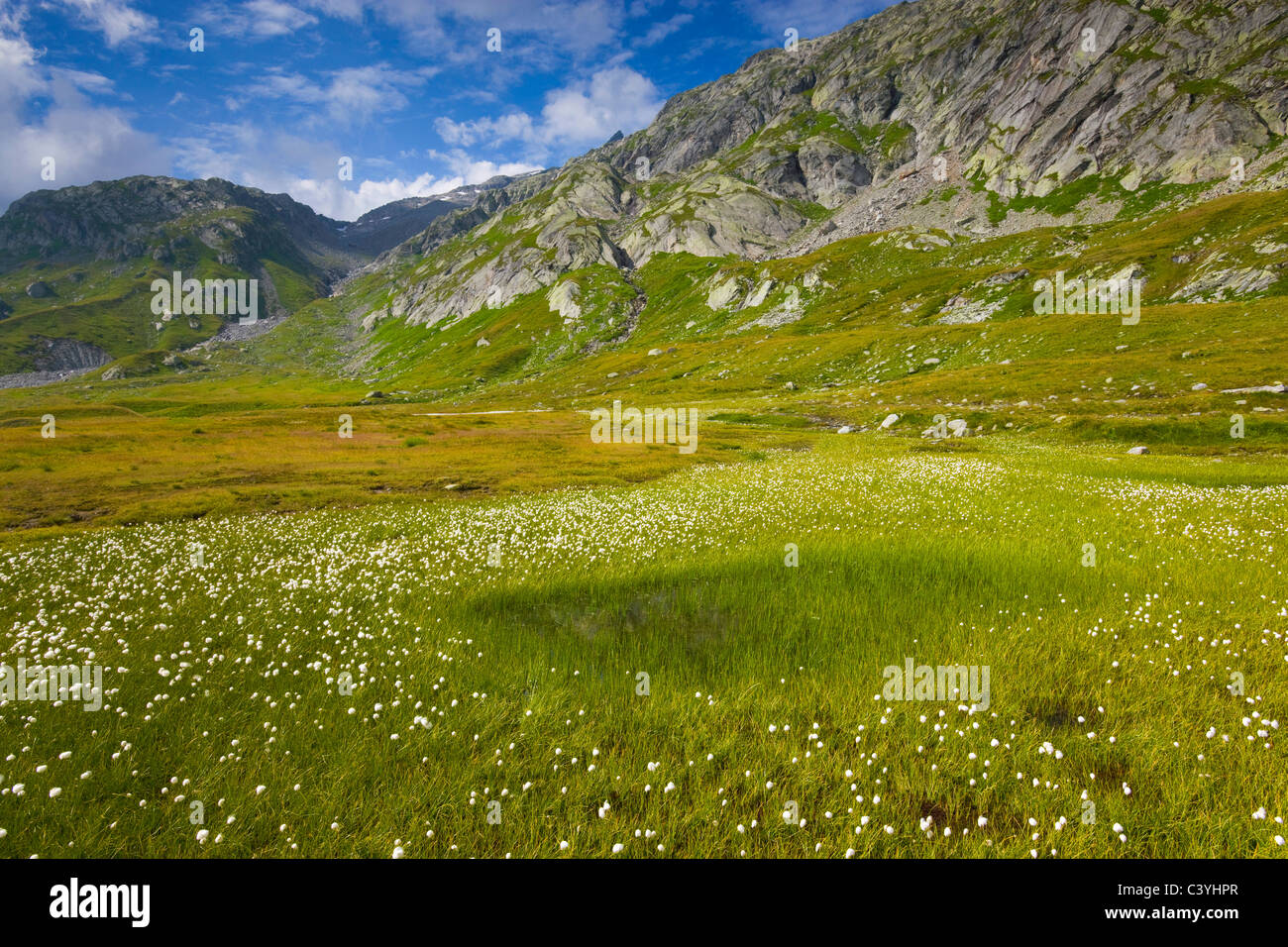 Greina, Switzerland, canton Graubunden, Grisons, Surselva, national ...