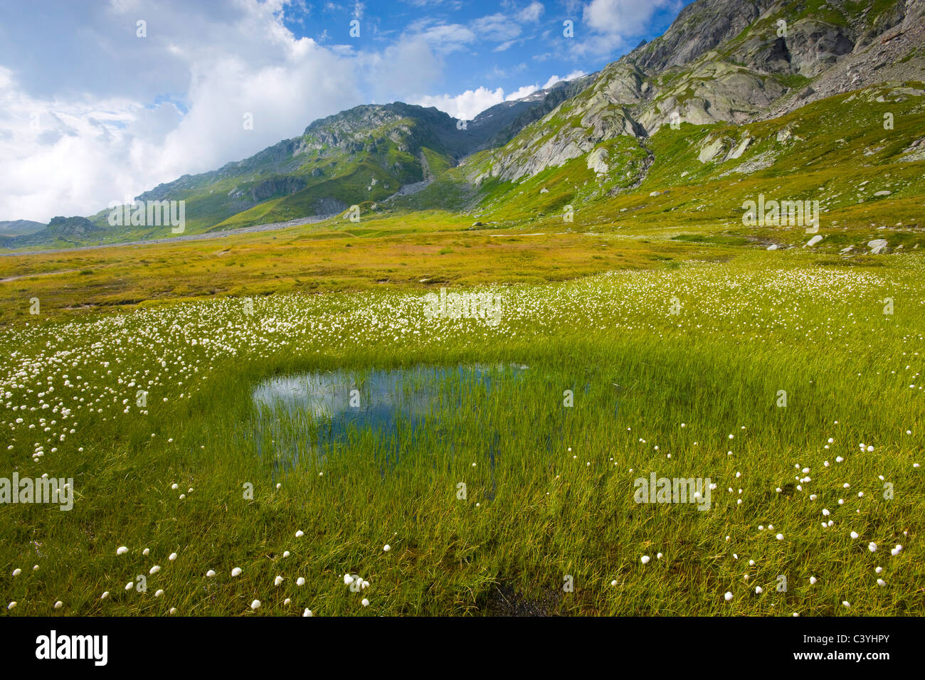 Greina, Switzerland, canton Graubunden, Grisons, Surselva, national ...