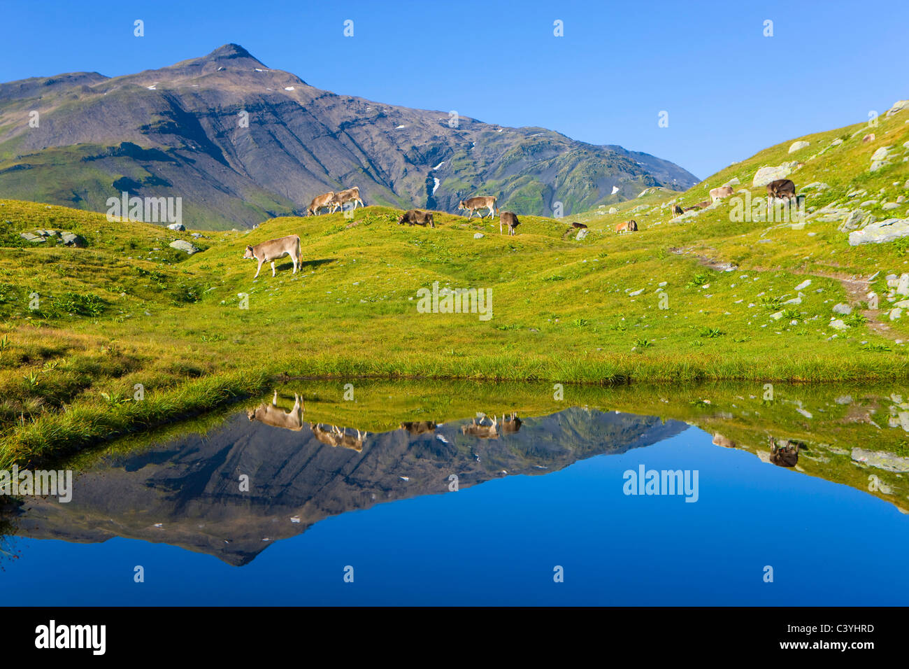 Greina plateau hi-res stock photography and images - Alamy