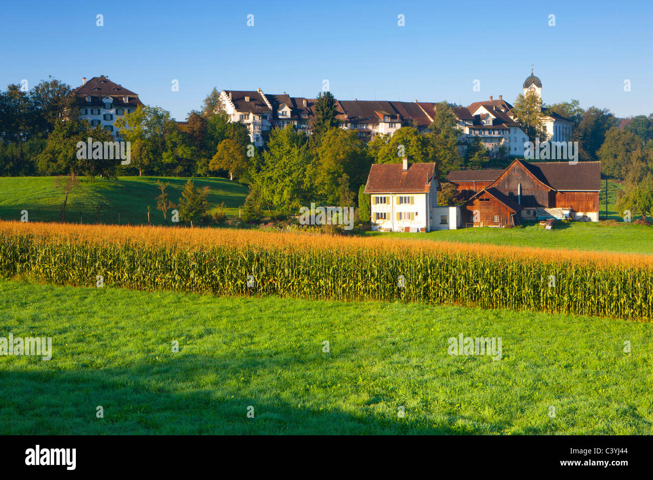 Corn field with houses hi-res stock photography and images - Alamy