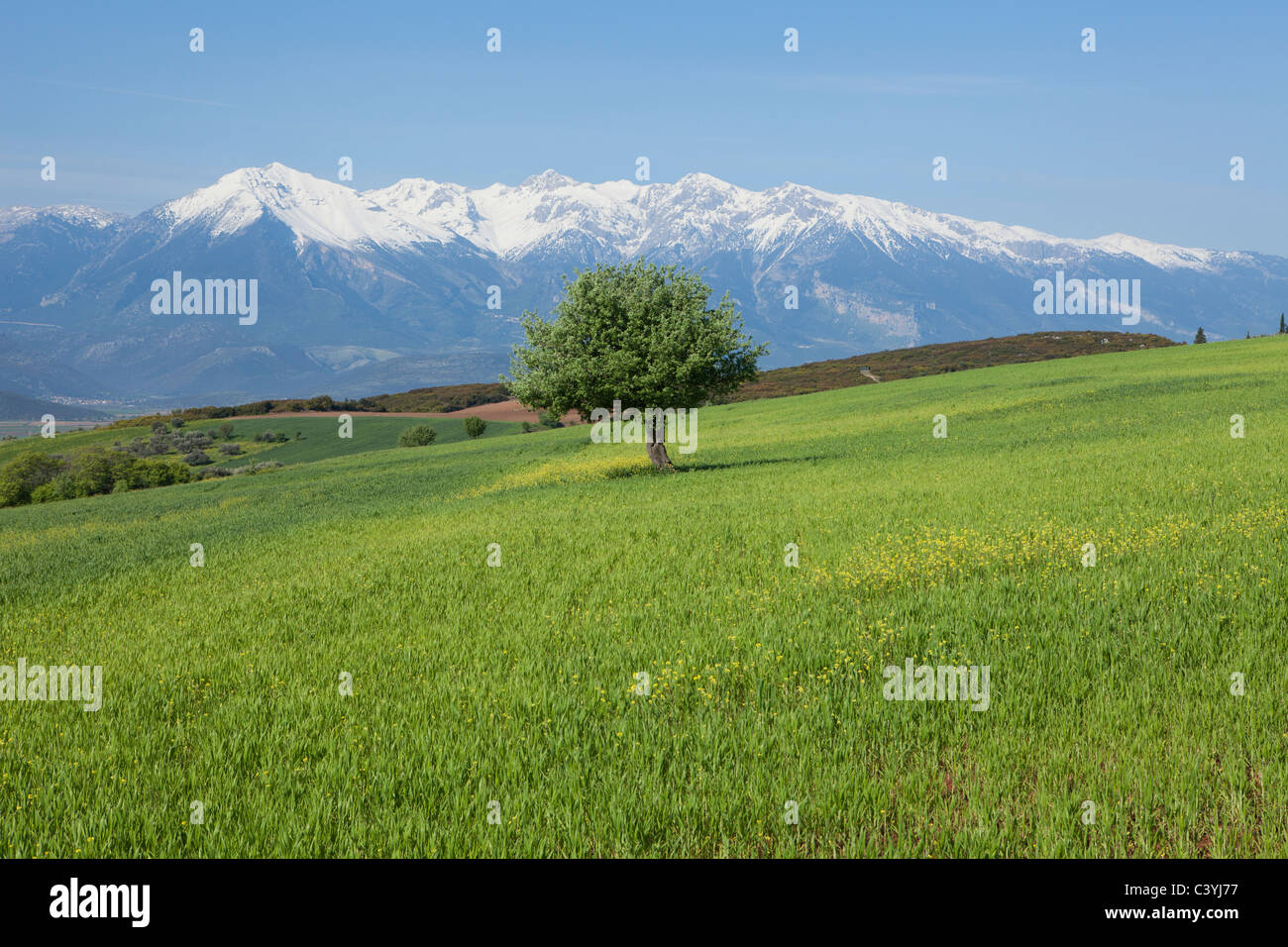 Mt parnassos hi-res stock photography and images - Alamy