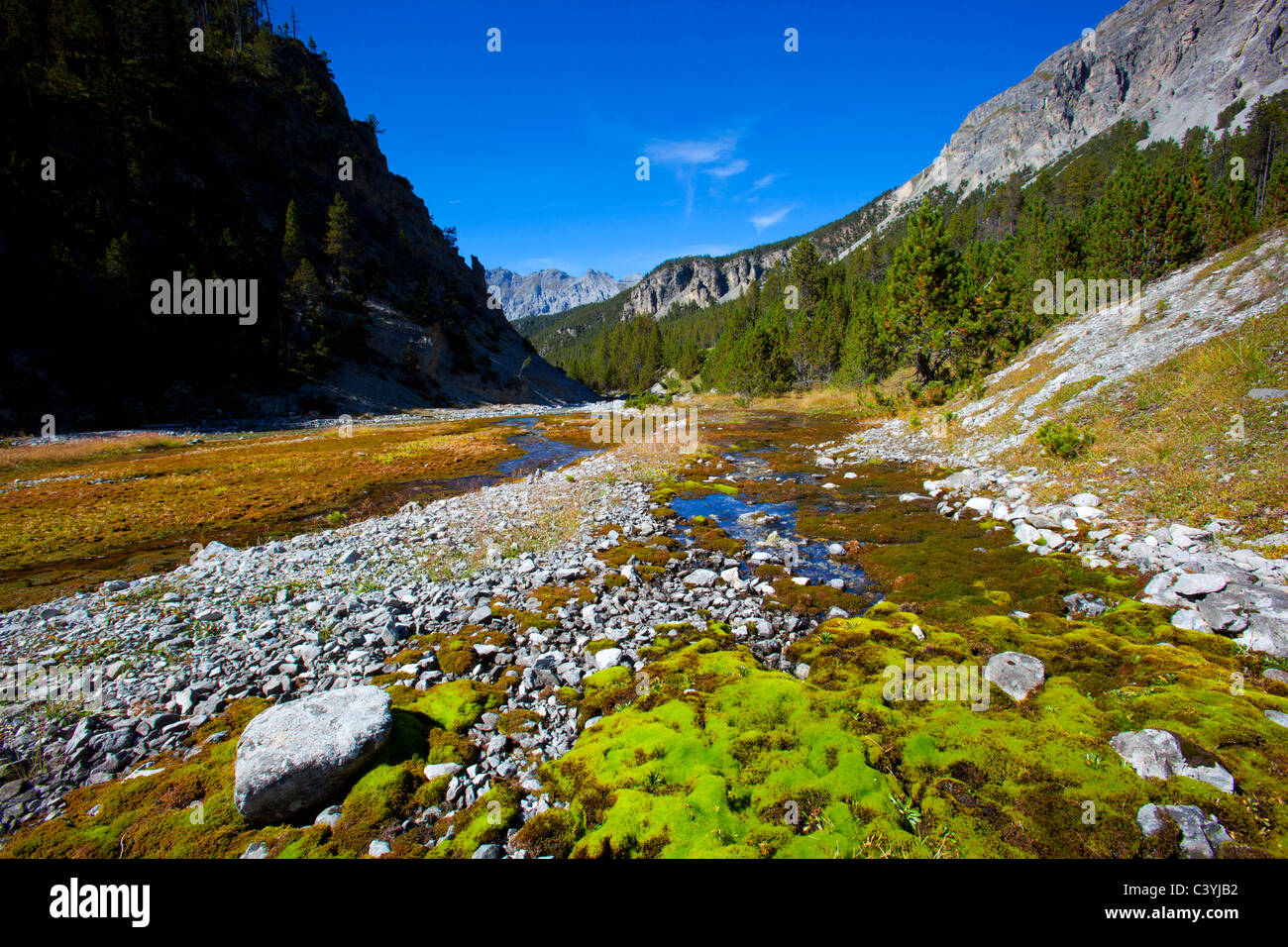 Ova dal Fuorn, Switzerland, canton Graubunden, Grisons, national park ...