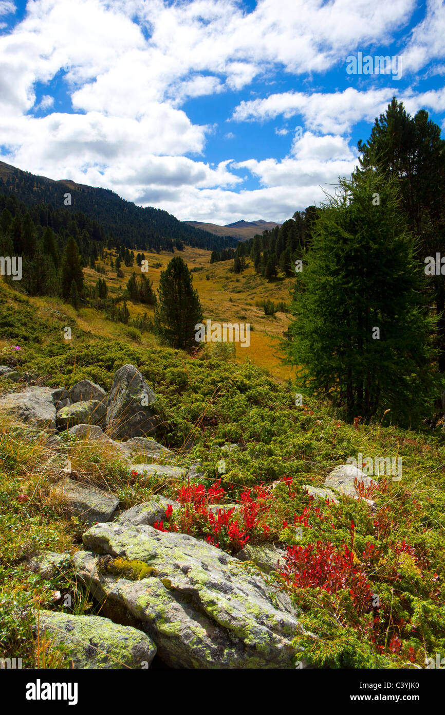 Canton of s hi-res stock photography and images - Alamy