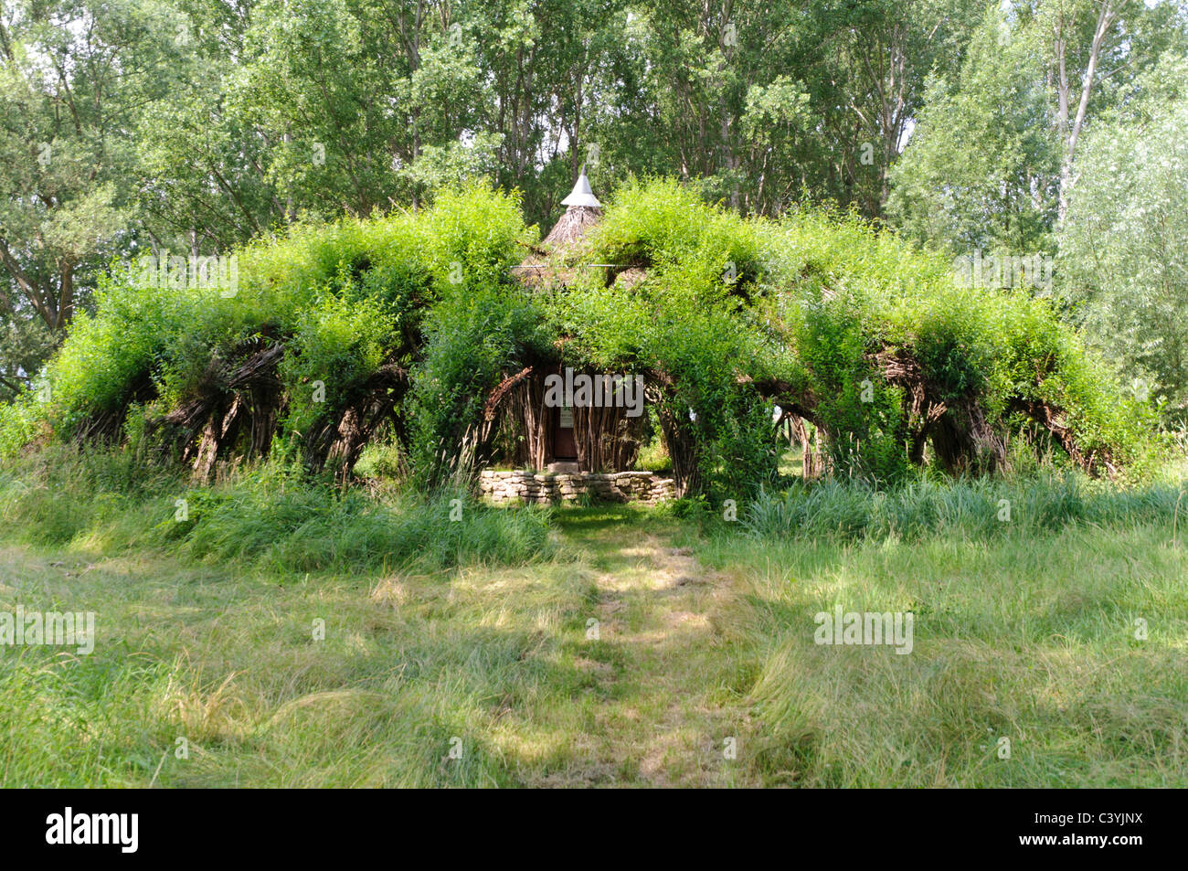 Auerworldpalast, pastures, rods, palace, Marcel Kalberer, Auerstedt ...