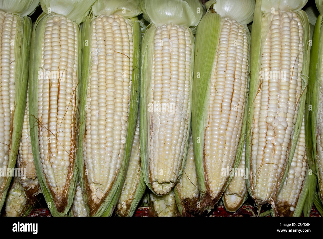 Harvest corn mexico hi-res stock photography and images - Alamy