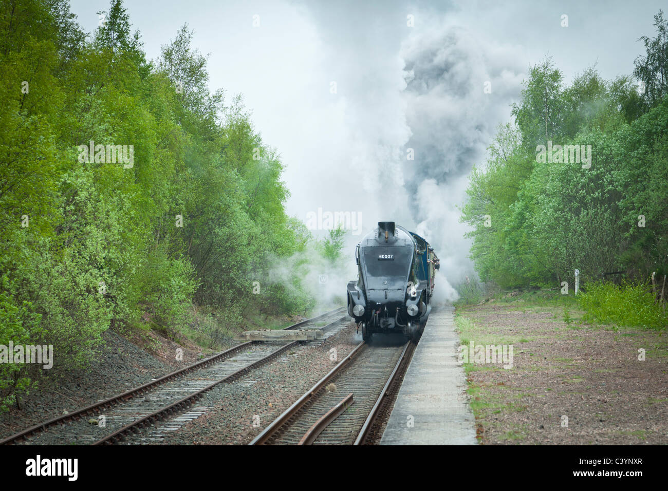Smokey steam train passes empty platform Stock Photo - Alamy