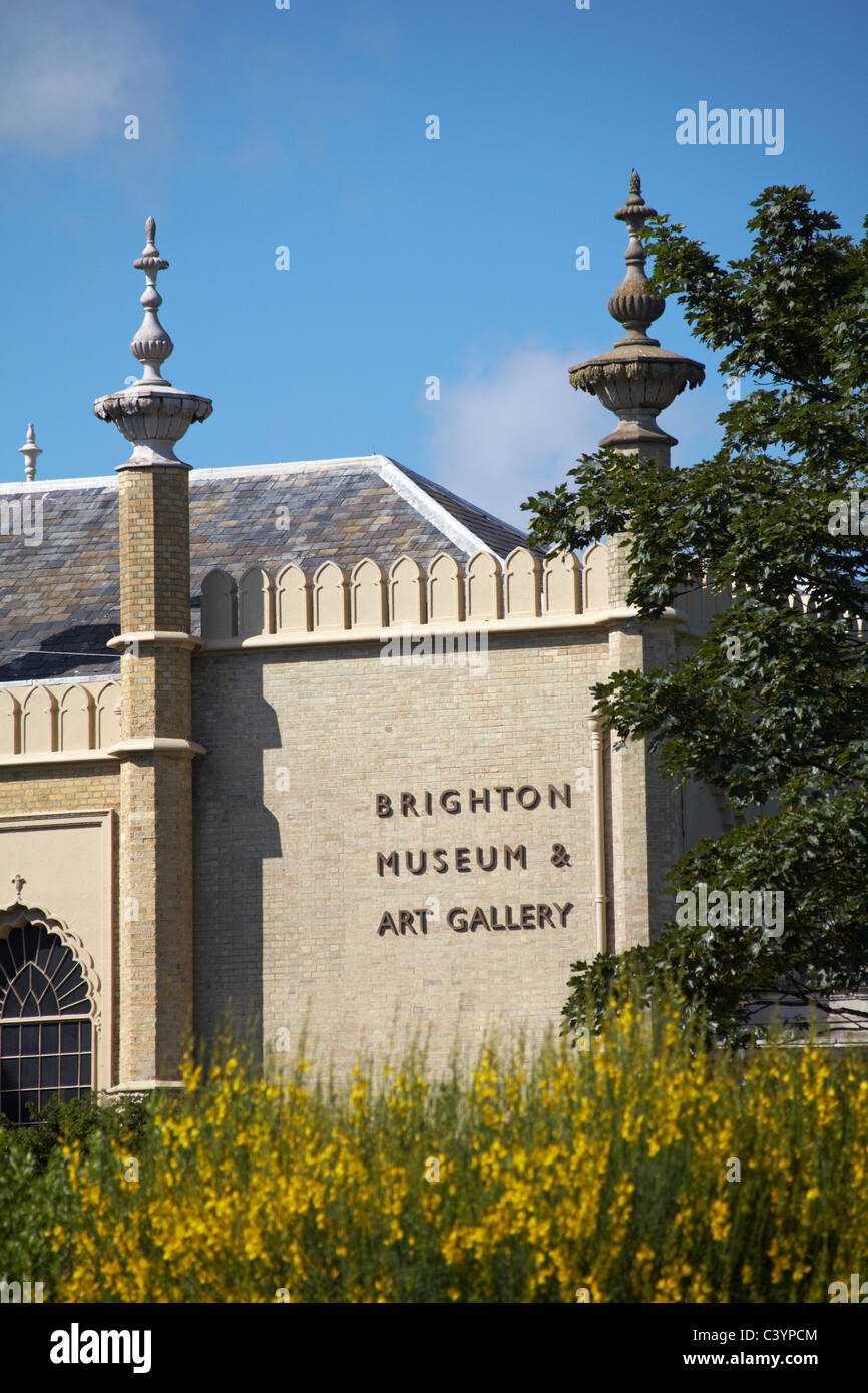 Brighton museum hi-res stock photography and images - Alamy