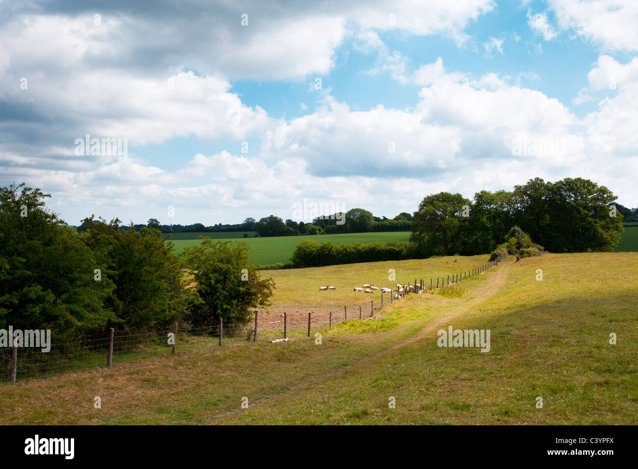Country and fields hi-res stock photography and images - Alamy