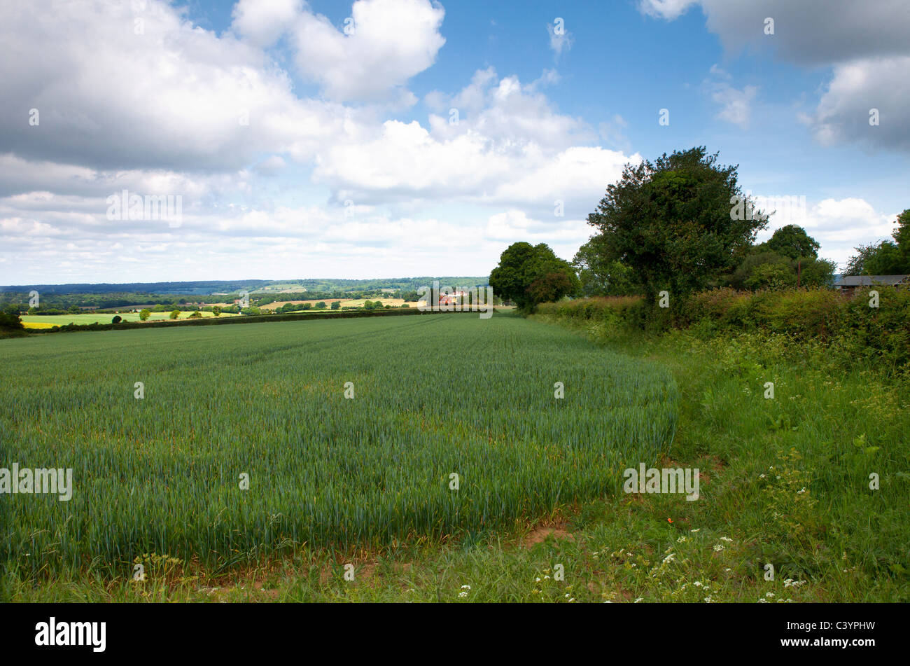 Country fields uk hi-res stock photography and images - Alamy