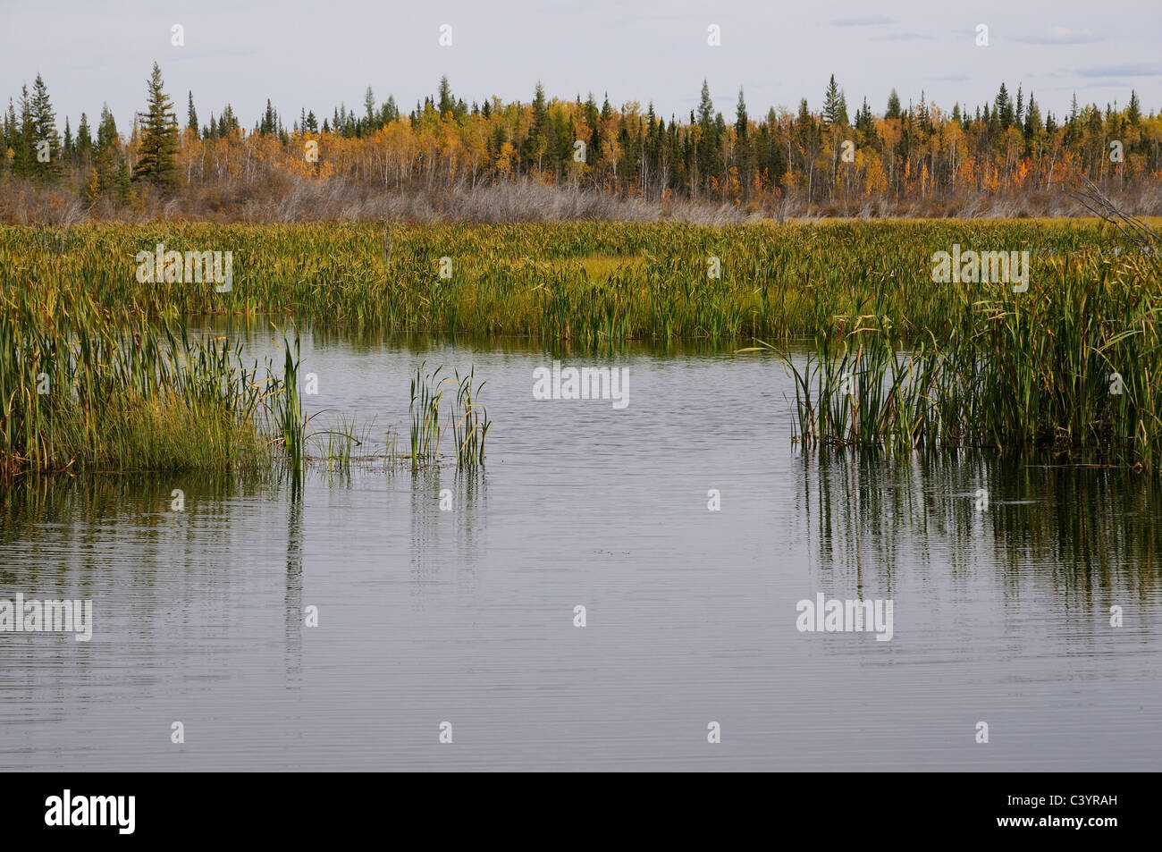 Fort smith hi-res stock photography and images - Alamy