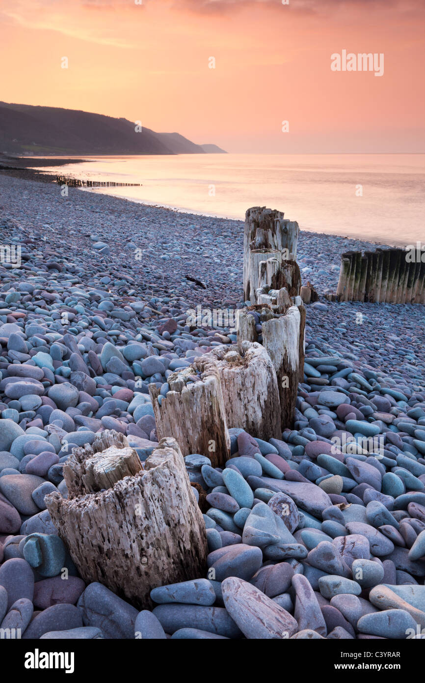 Weathered wooden groyne on Bossington Beach at sunset, Exmoor National ...