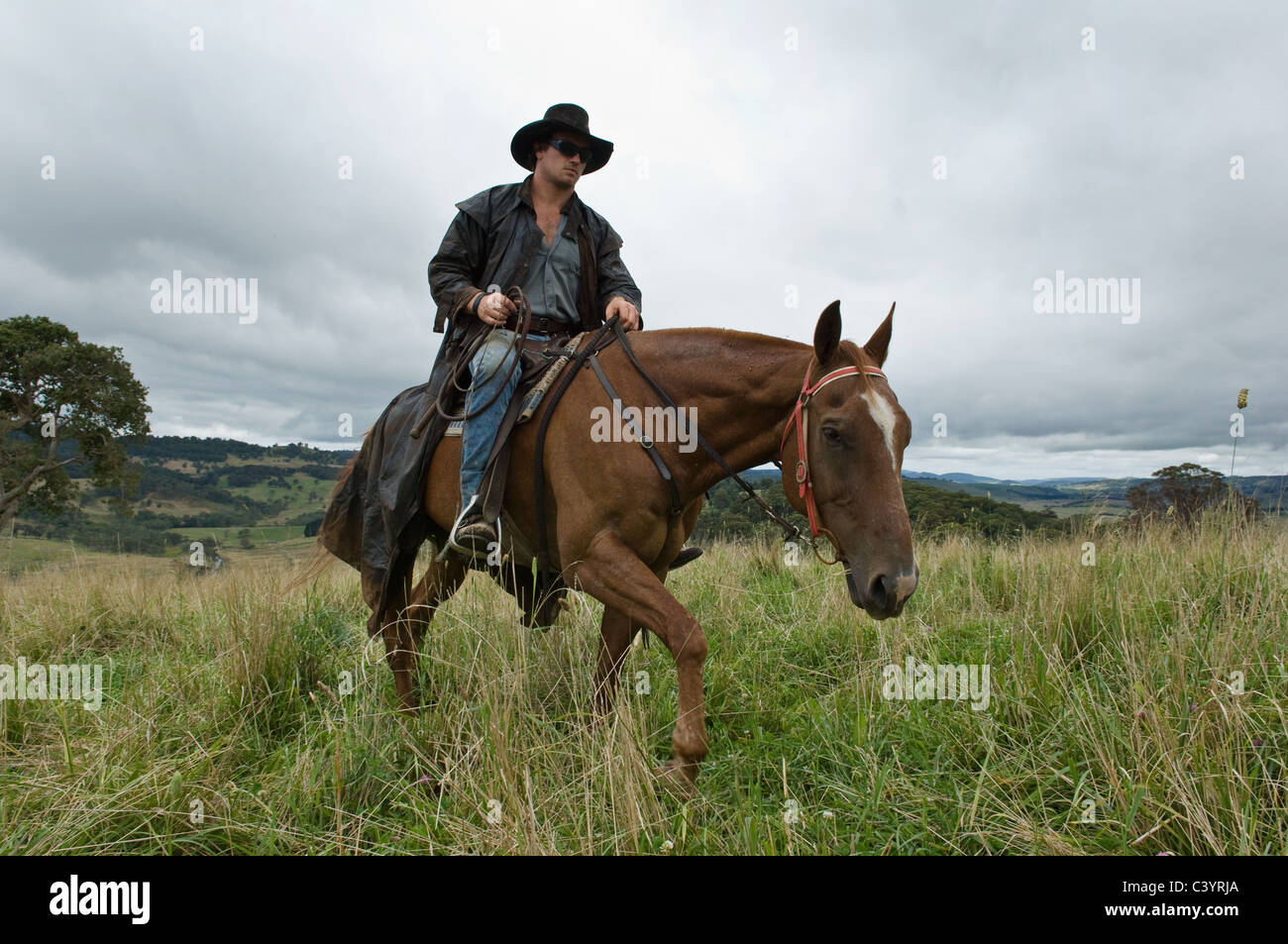 Man Sitting On Horse High Resolution Stock Photography and Images - Alamy