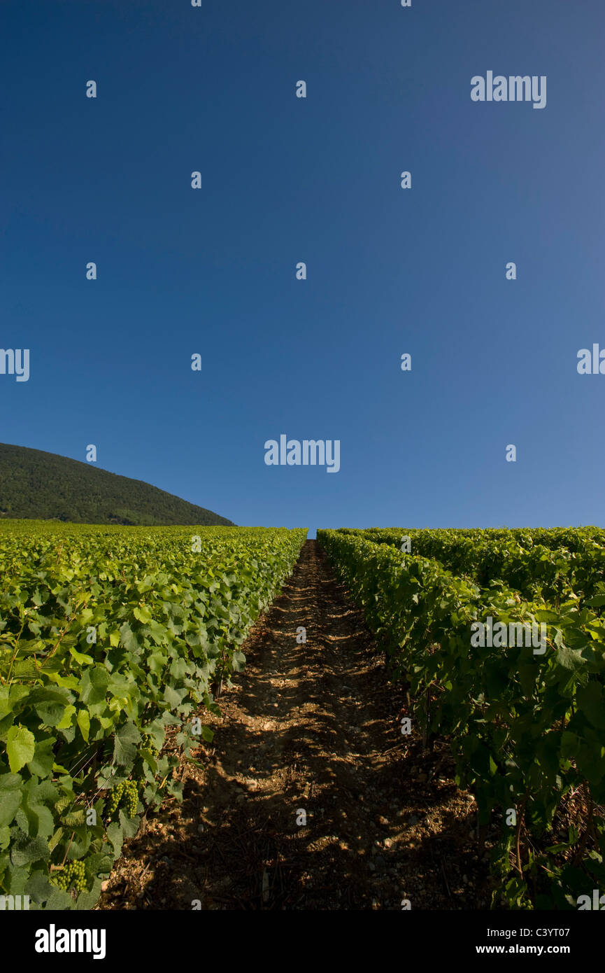 Concise hi-res stock photography and images - Alamy