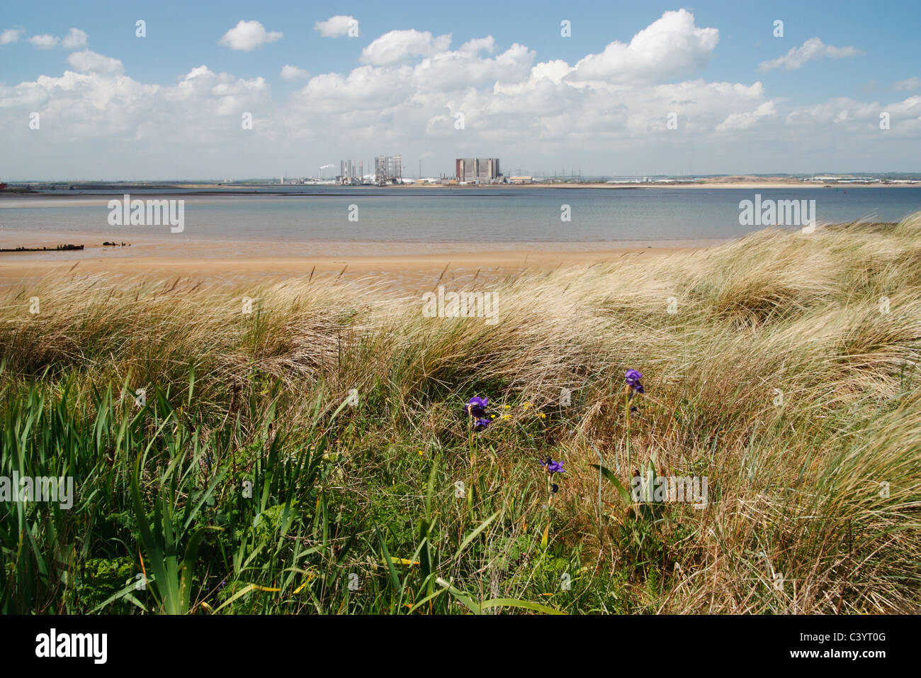 South Gare Beach High Resolution Stock Photography and Images - Alamy