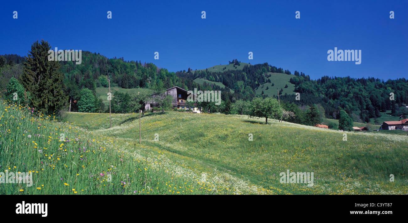 Switzerland, Gruyères, canton Freiburg, scenery, nature, meadow, hill ...