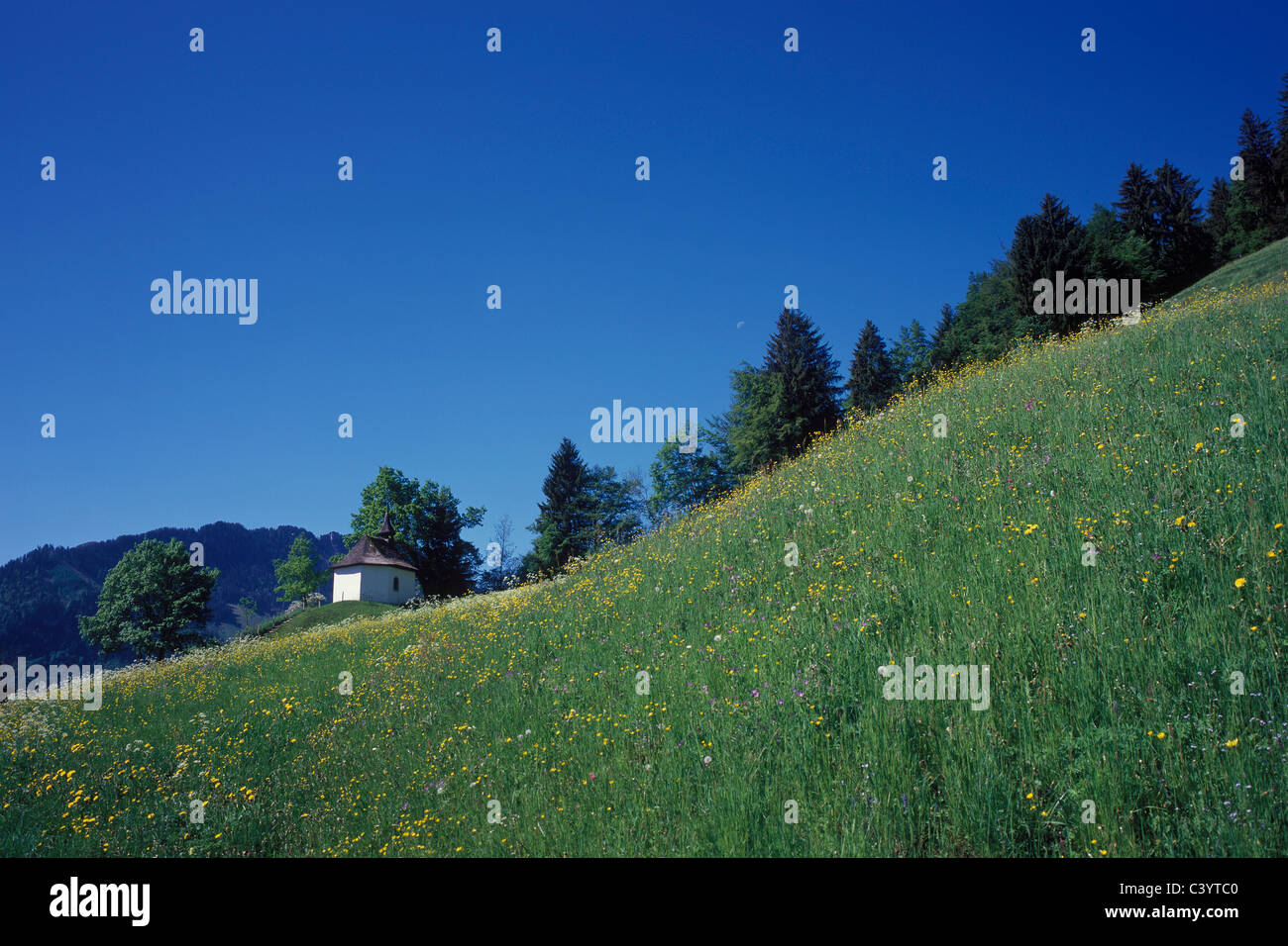 Switzerland, meadow, mountains, scenery, canton Freiburg, Gruyères ...