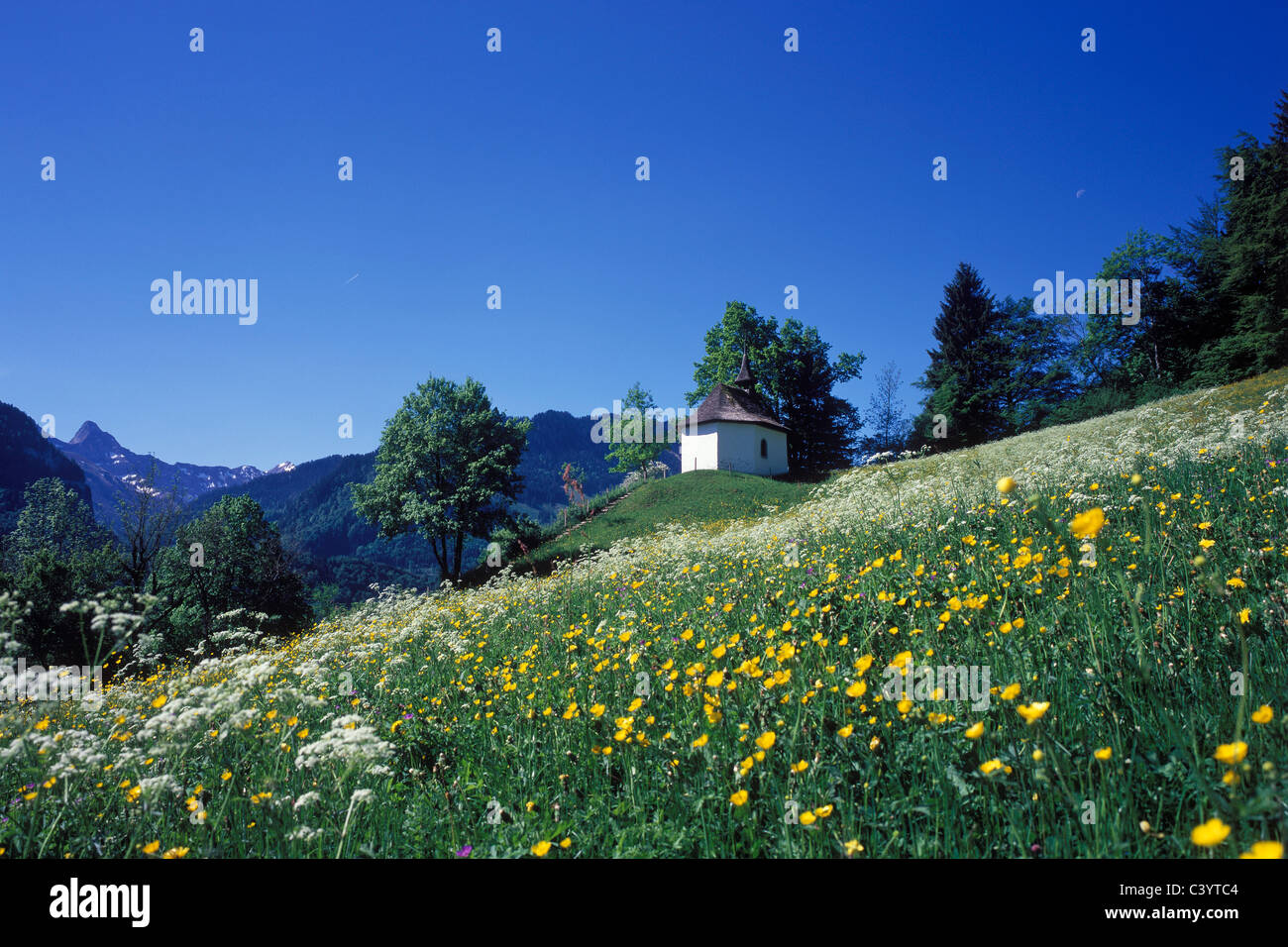 Switzerland, meadow, mountains, scenery, canton Freiburg, Gruyères ...