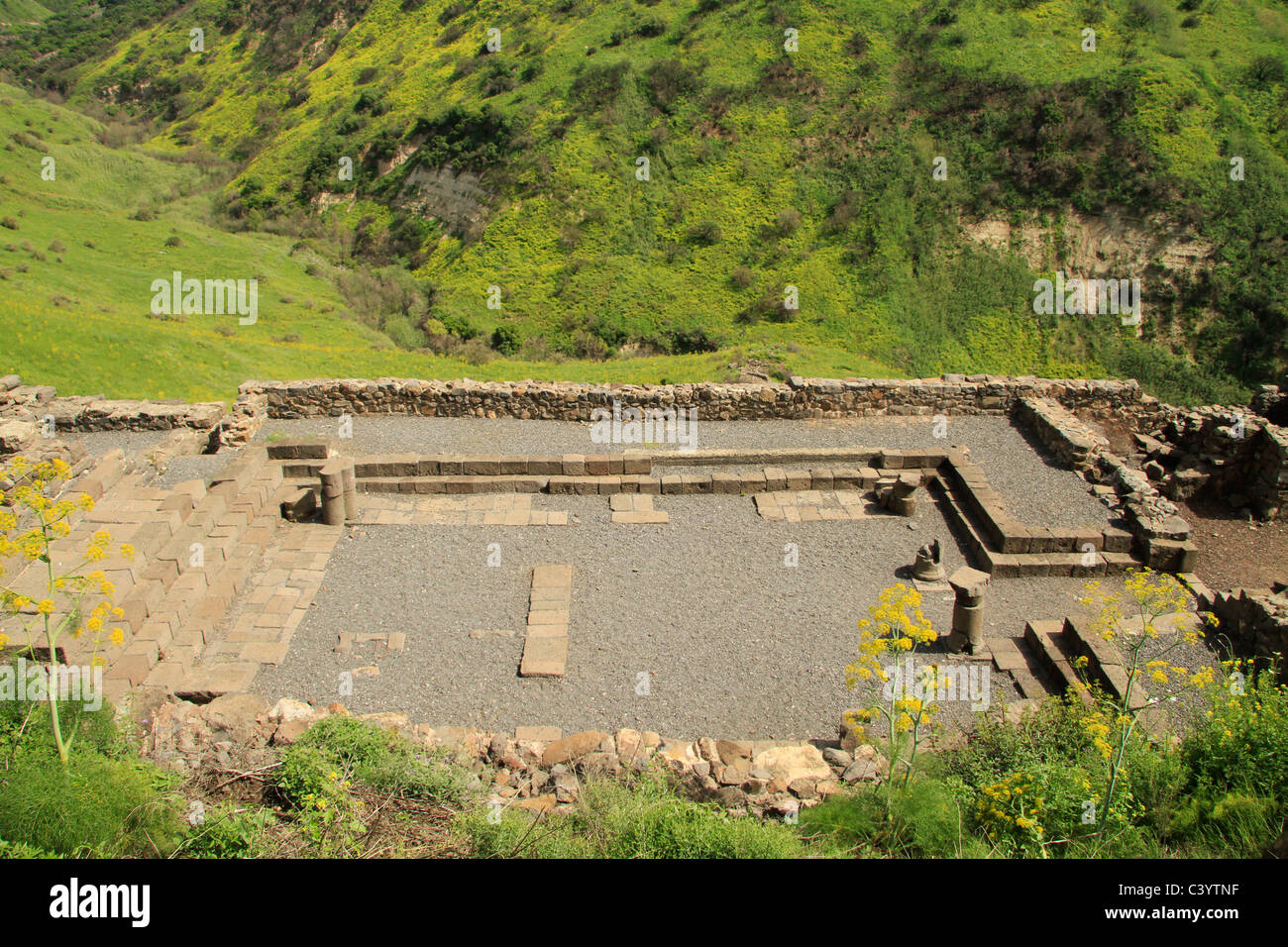 Golan Heights, ruins of Gamla ancient Synagogue Stock Photo - Alamy