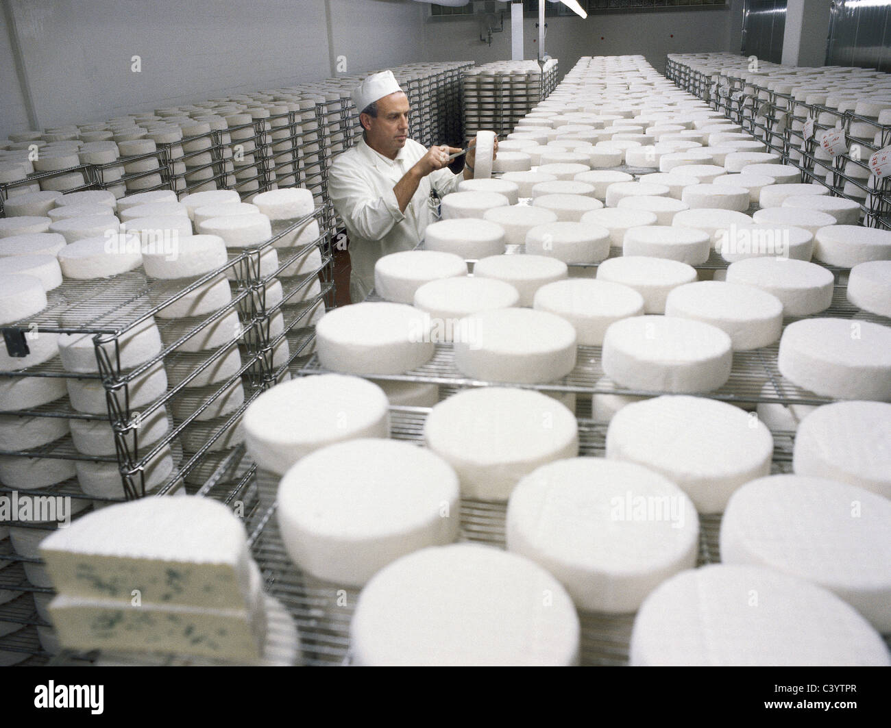Dairy food processing plants hi-res stock photography and images - Alamy