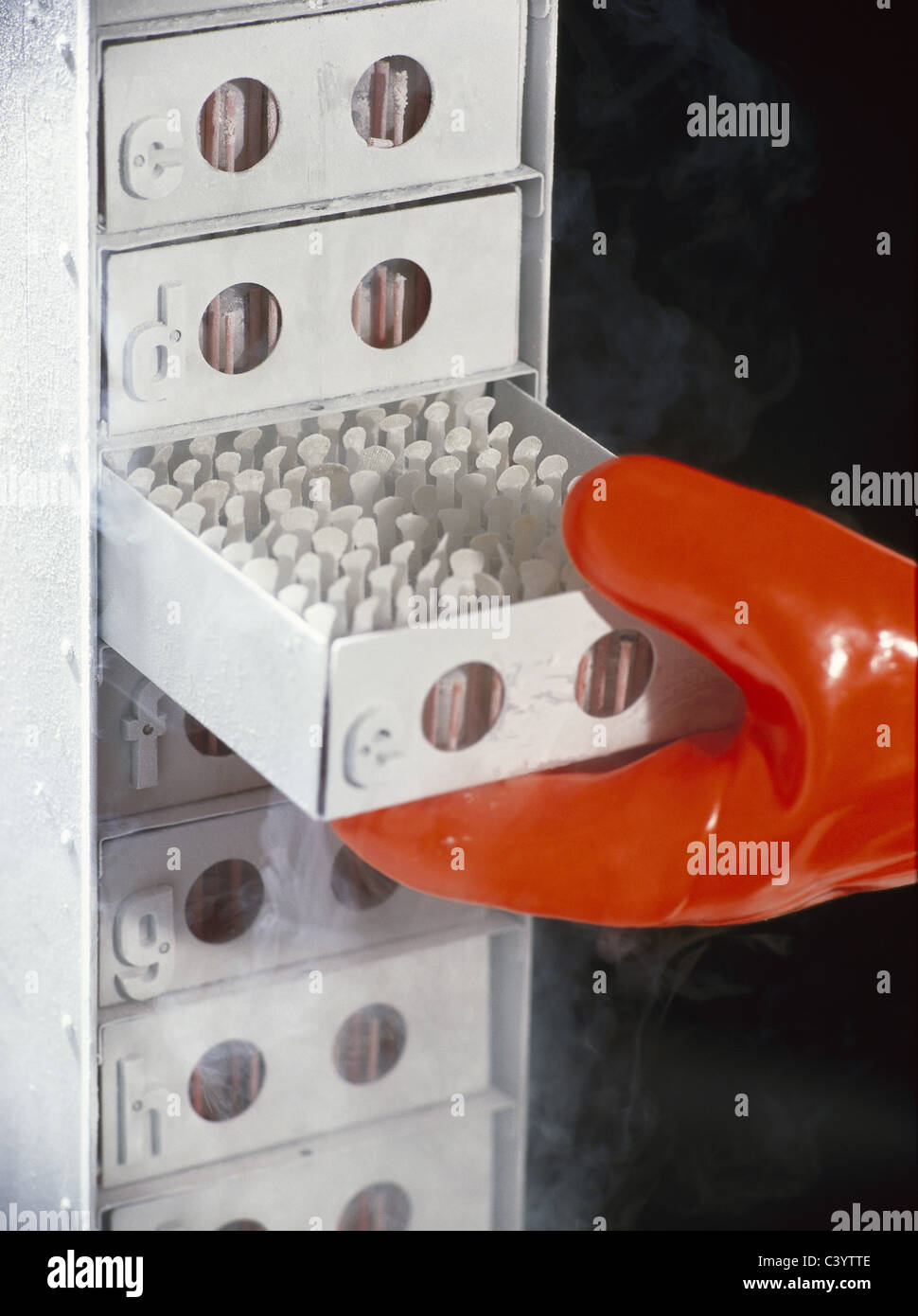 Cryostorage hi-res stock photography and images - Alamy
