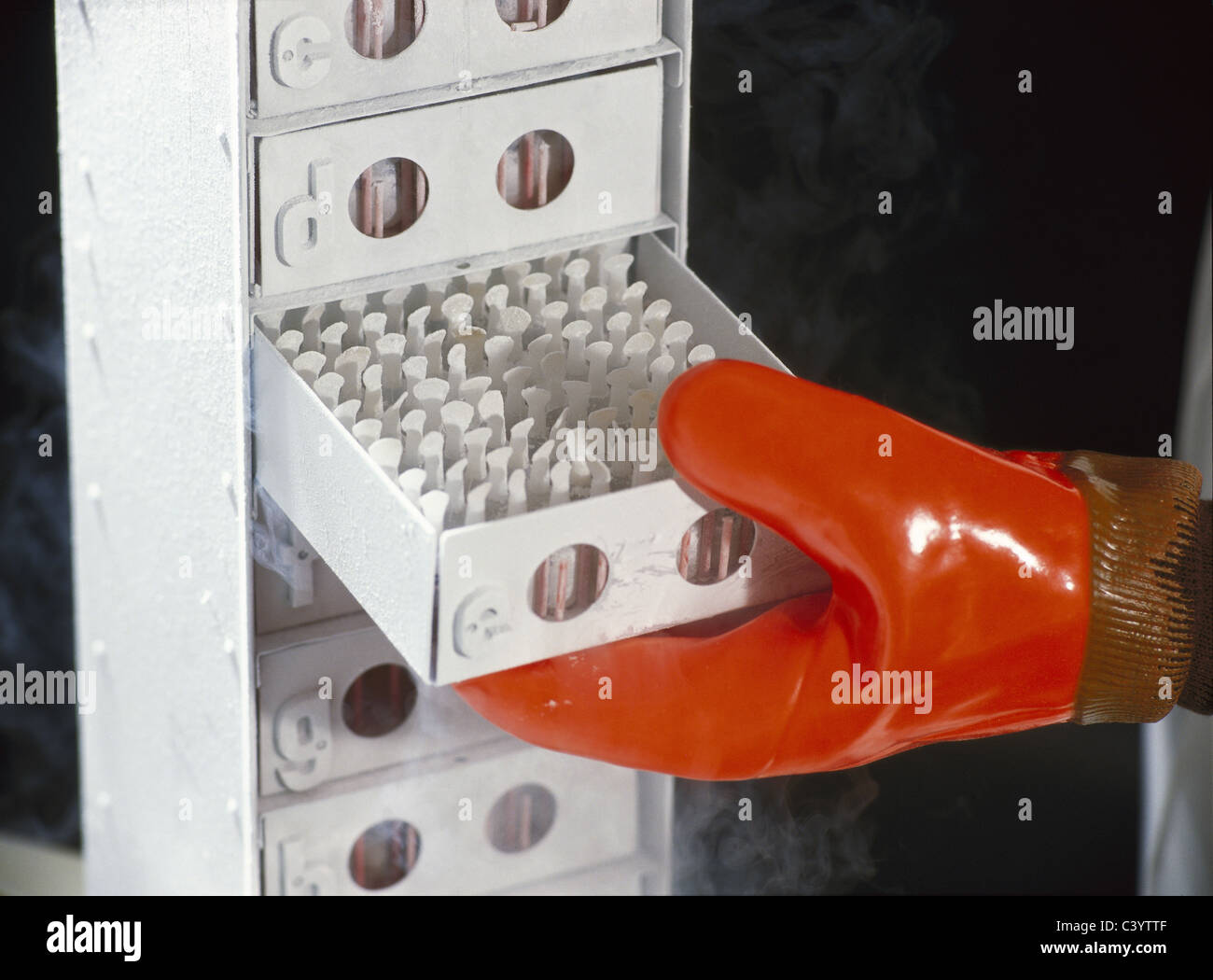 Biological, Biology, Biotechnology, Cell, Cold, Cryo, Cryofreezing ...