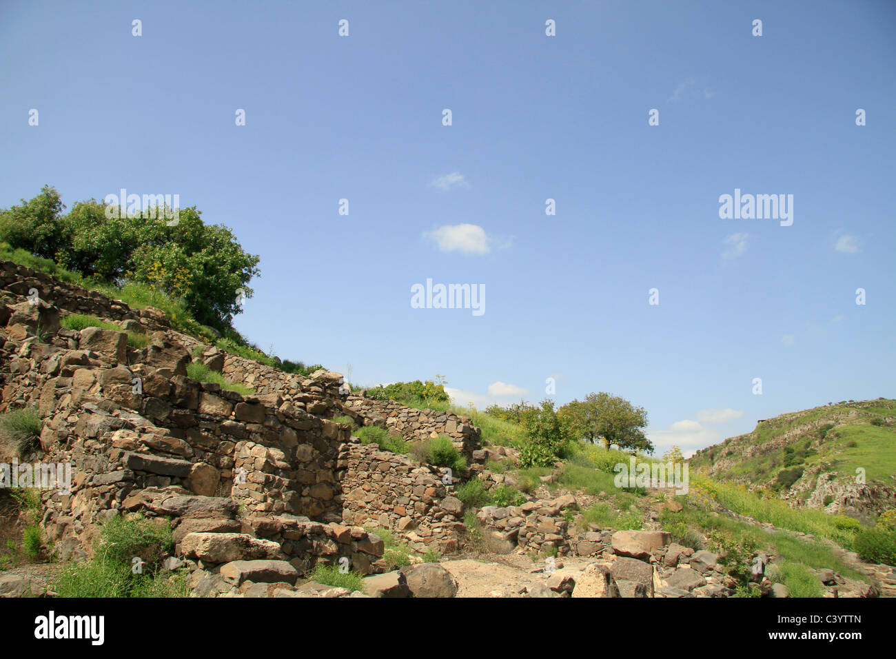 Golan Heights, ruins of the Hasmonean quarter of Gamla Stock Photo - Alamy