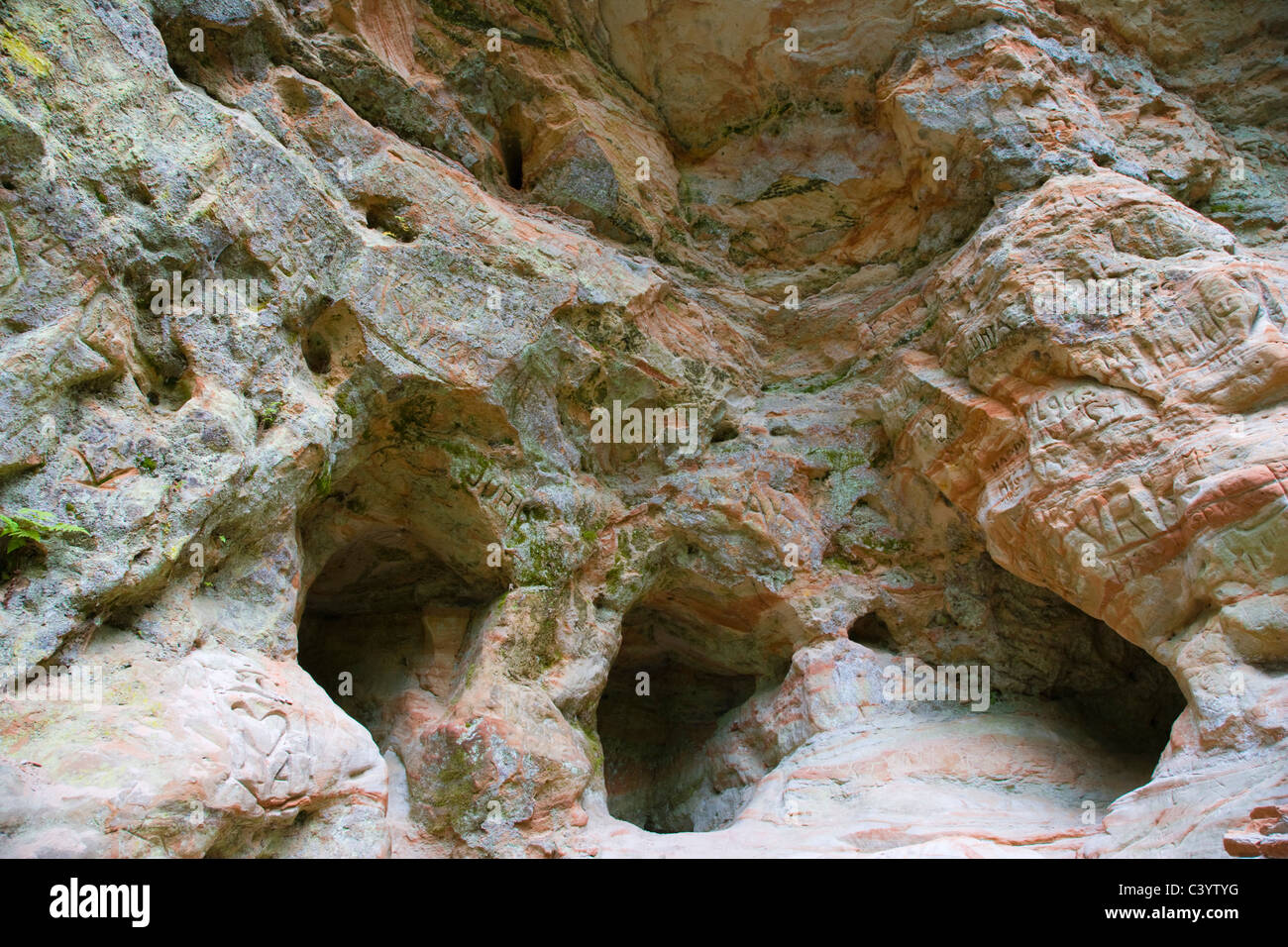 The sandstone outcrop with three caves. Pikenes krauja, Pikene glen ...