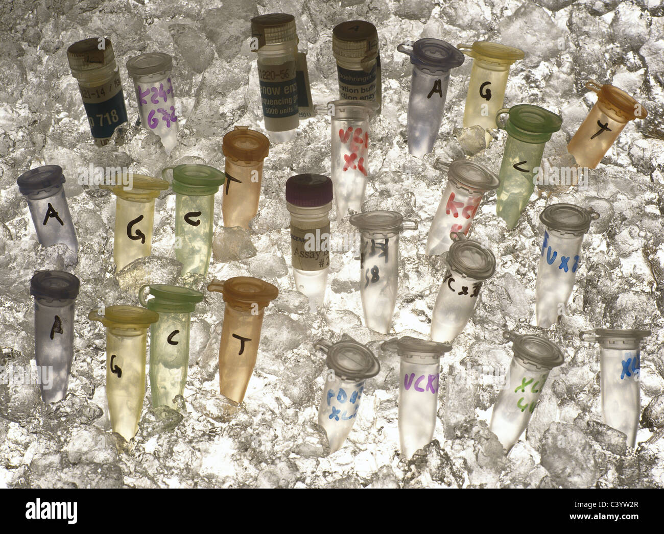 Biochemistry, Bioengineering, Biomedical, Biotechnology, Chemical ...