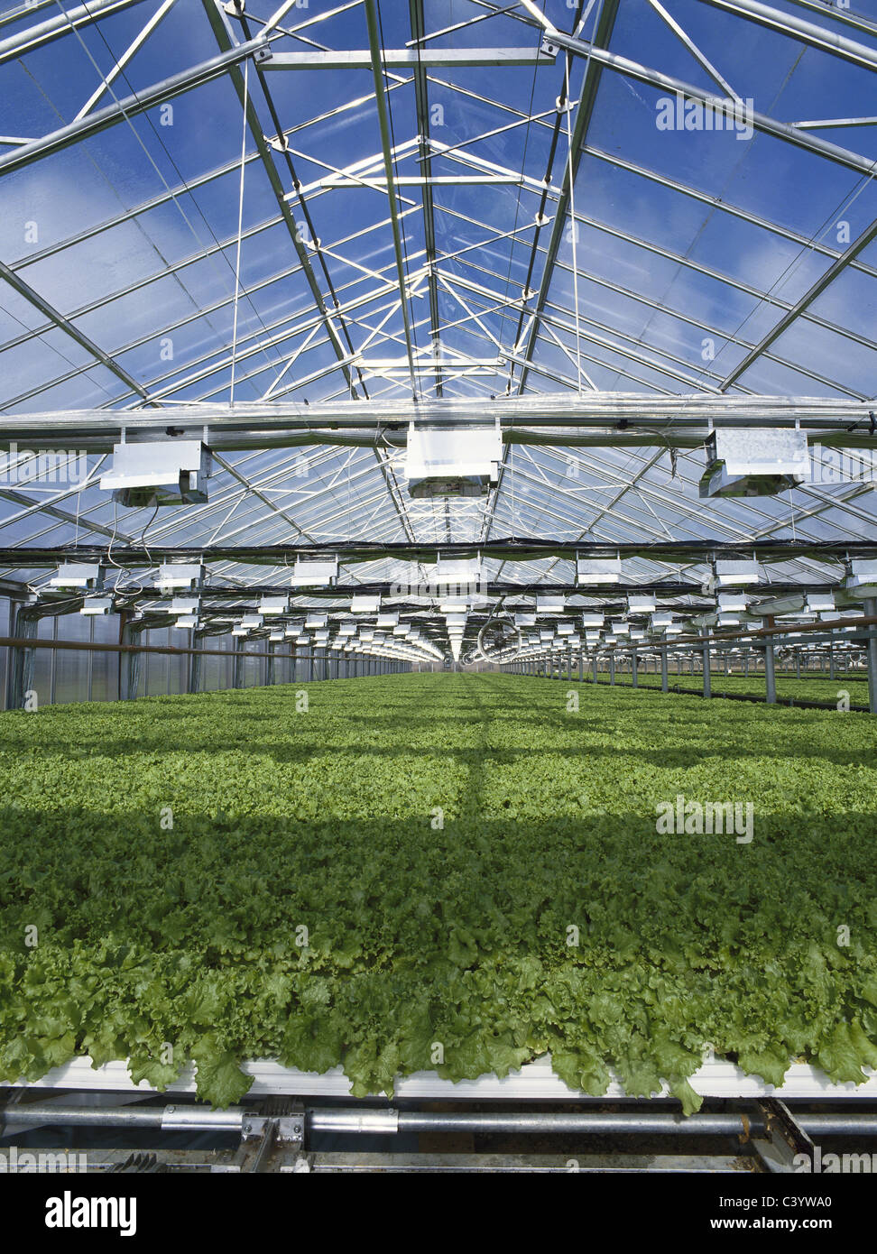 Agricultural, Agriculture, Crop, Cultivation, Economy, Europe, European ...