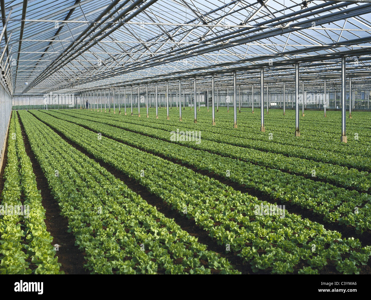 Economy of agriculture hi-res stock photography and images - Alamy