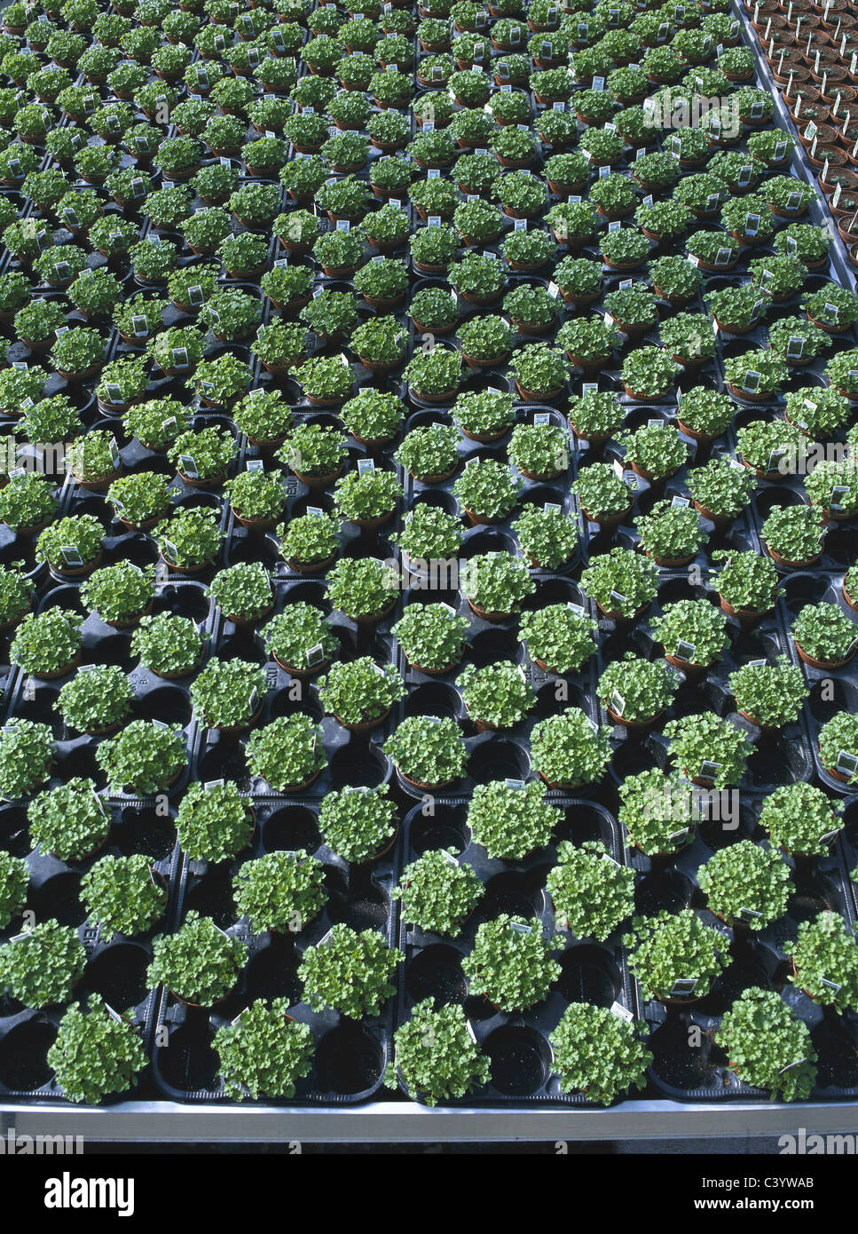 Agriculture germany economy hi-res stock photography and images - Alamy