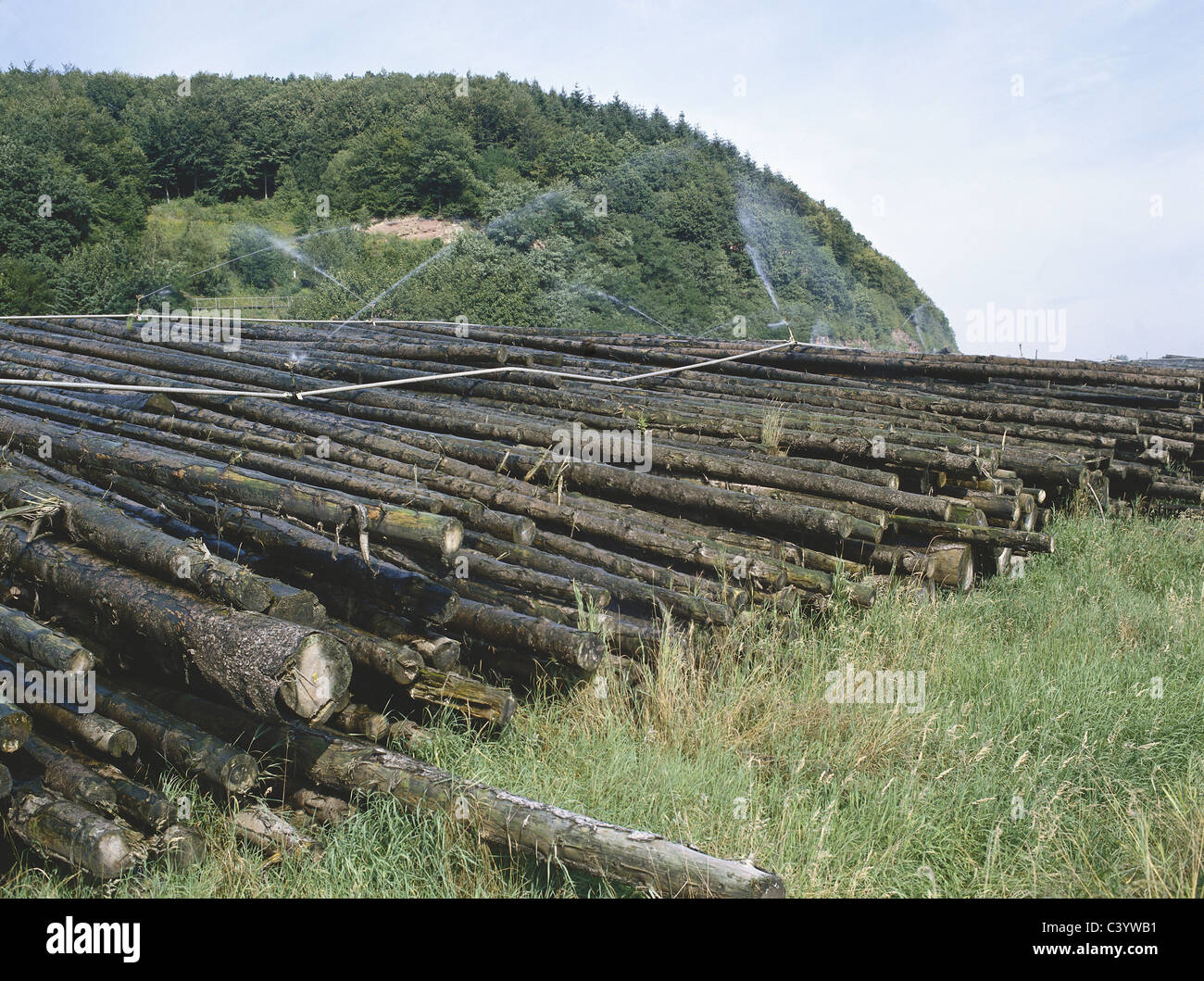 Timber economy hi-res stock photography and images - Alamy