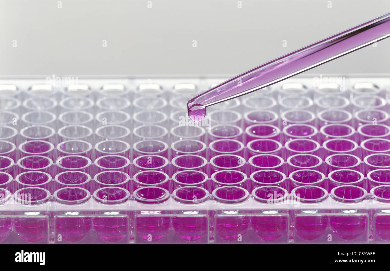 Analysis, Biochemistry, Biomedical, Chemical, Chemistry, Colourful ...