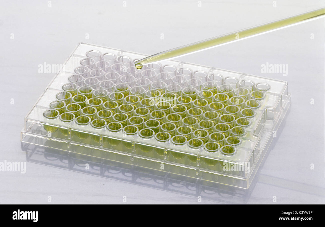 Multi well sample tray hi-res stock photography and images - Alamy