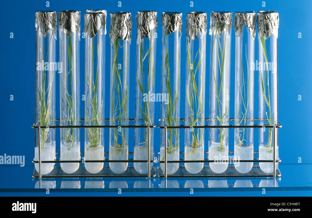 Biotechnical hi-res stock photography and images - Alamy