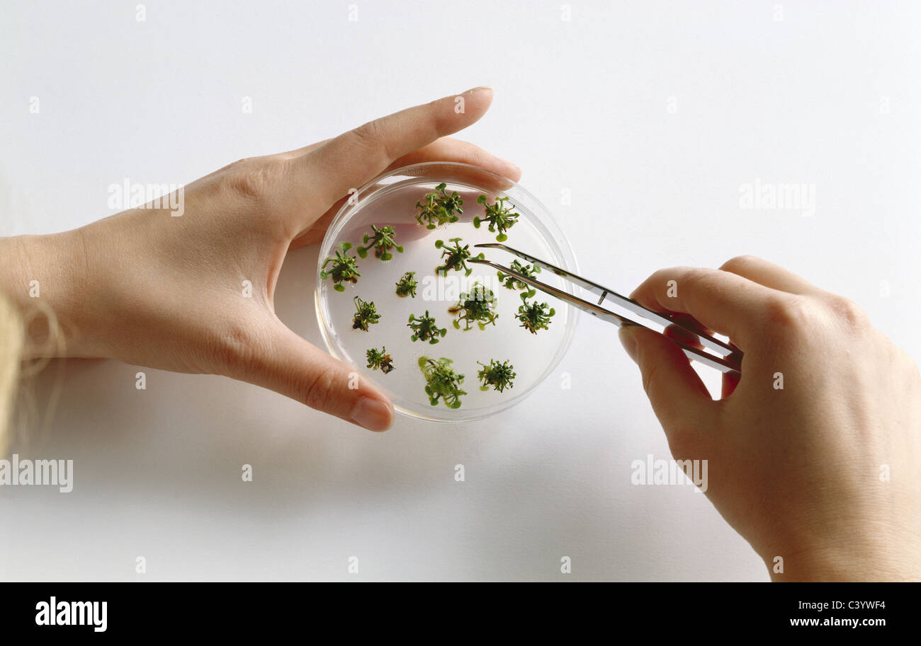 Agriculture, Agricultural, Biology, Biotechnical, Biotechnology ...