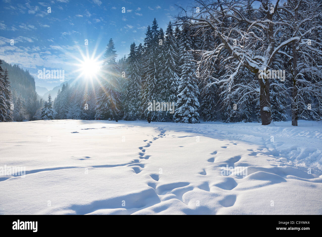 Panorama nature view panoramic polish tatra mountains hi-res stock ...