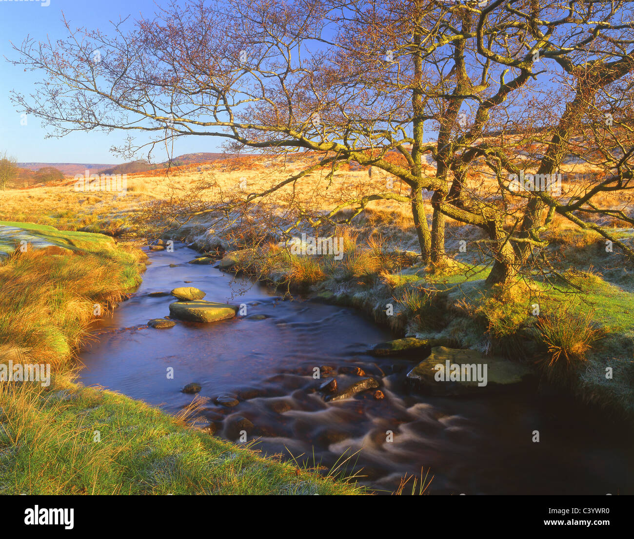 UK,Derbyshire,Peak District,Longshaw Estate,Burbage Brook Stock Photo ...