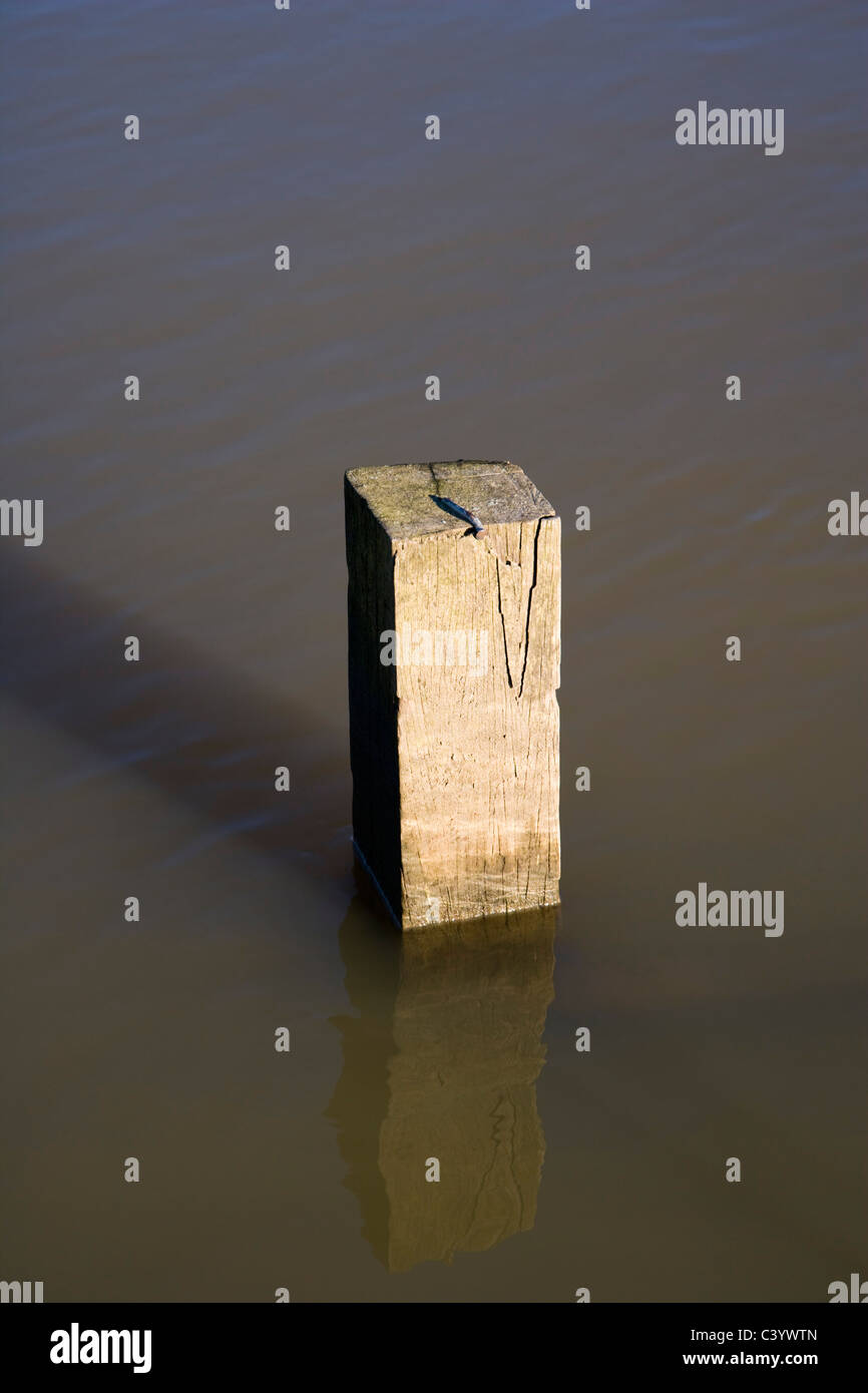 Water level pole hi-res stock photography and images - Alamy
