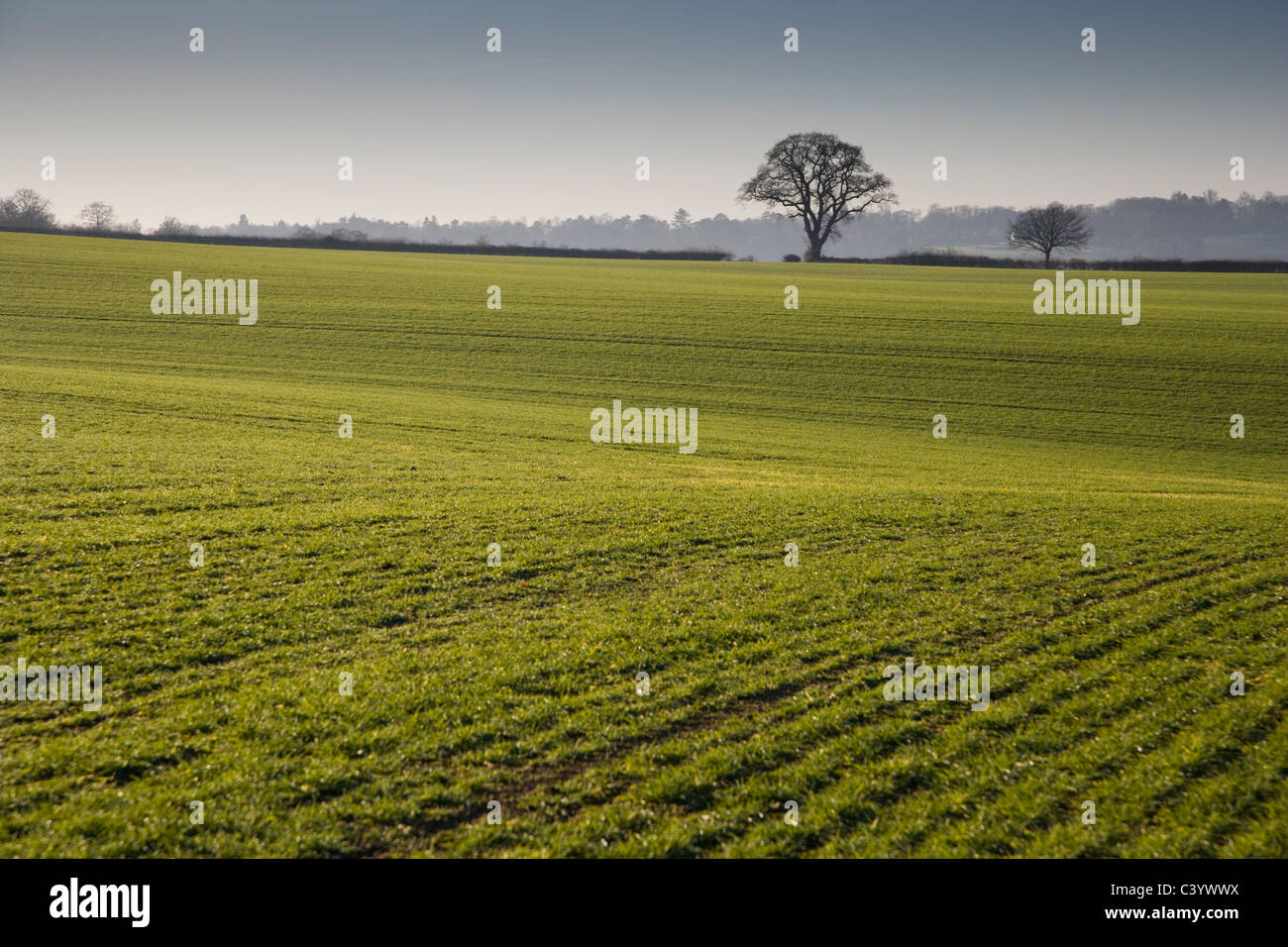 Aston farm hi-res stock photography and images - Alamy