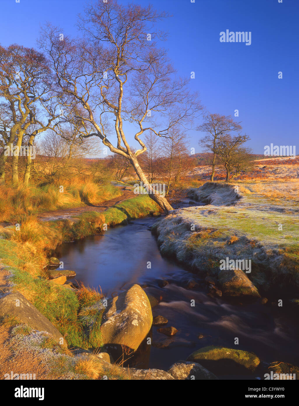 UK,Derbyshire,Peak District,Longshaw Estate,Burbage Brook Stock Photo ...
