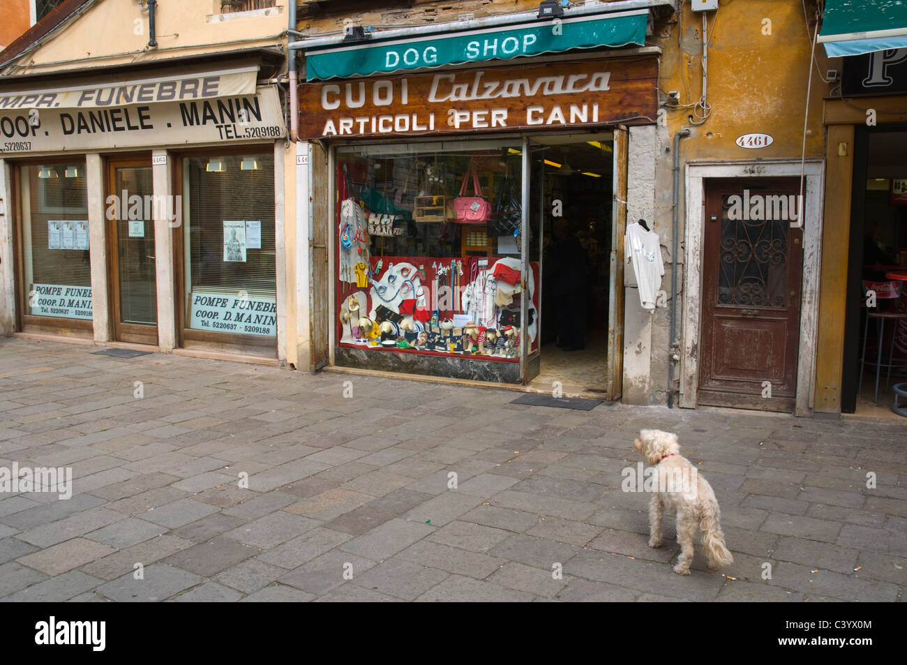 Dog waiting outside dog shop Cannaregio district Venice Italy Europe ...