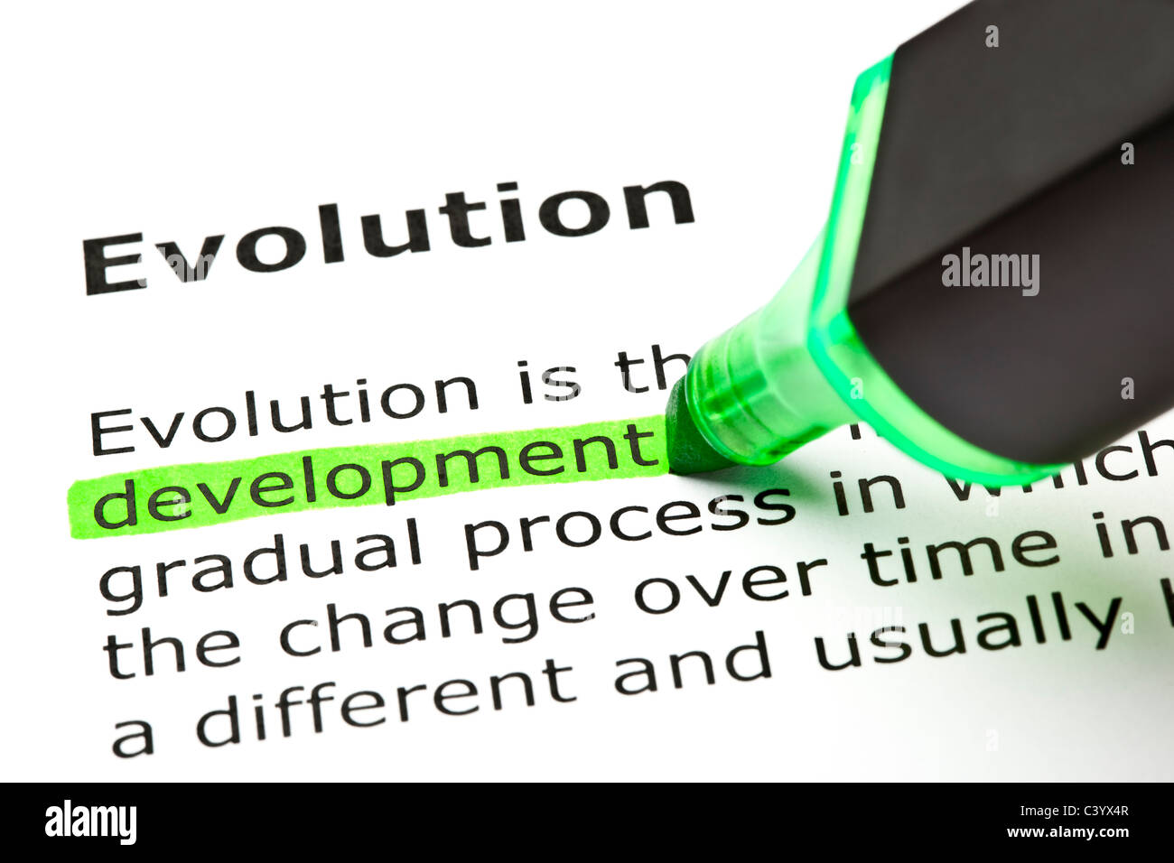 'Development' highlighted in green, under the heading 'Evolution' Stock ...